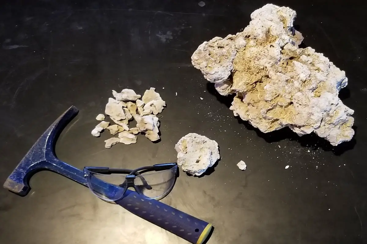 The Best Coral Frag Plugs – ReefSump.com